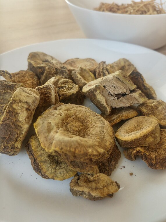 Calumba Colombo Jateorhiza Palmata Raiz Inteira importada do Malaui ...